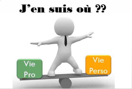 Vie pro - vie perso, j'en suis où ? Exploiter mon potentiel, identifier ...